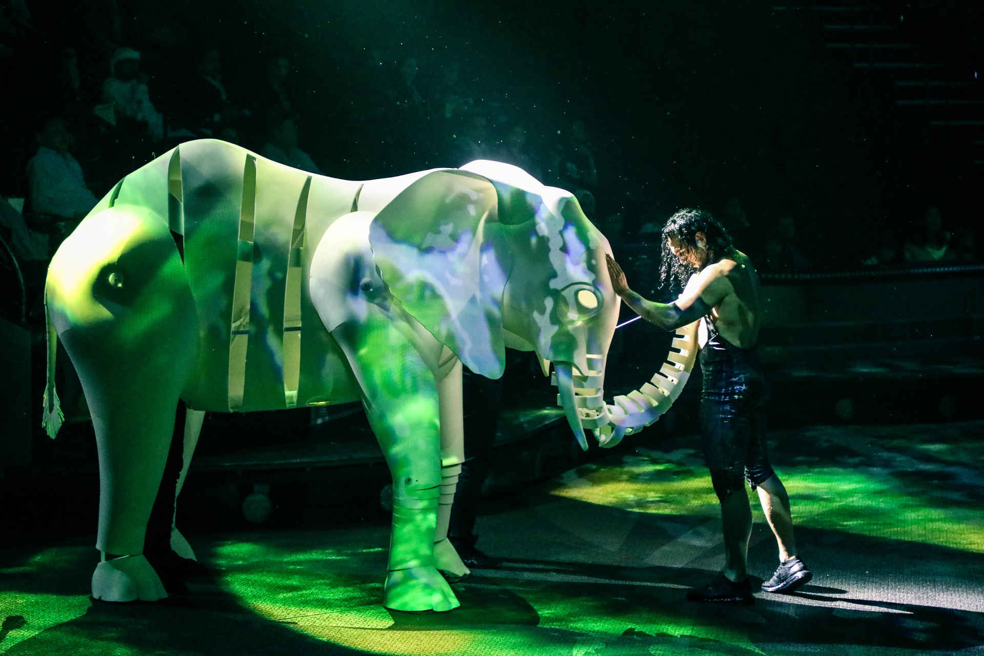 Info & Tickets for the Live Show La Perle in Dubai